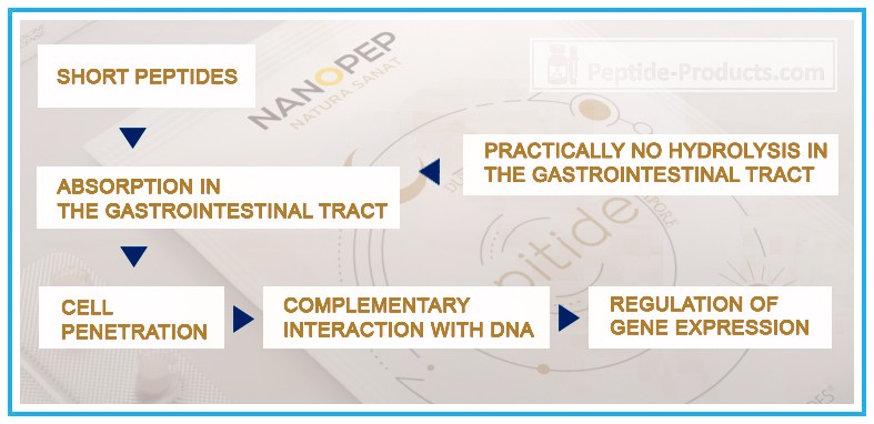 NANOPEP - Exclusive Peptides